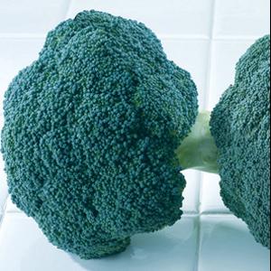 Broccoli - Destiny | Peacock Valley Nursery